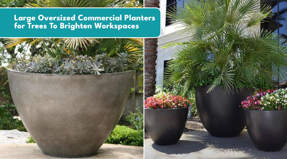 Commercial Planters for Trees in Workspaces - Majestic Fountains and More